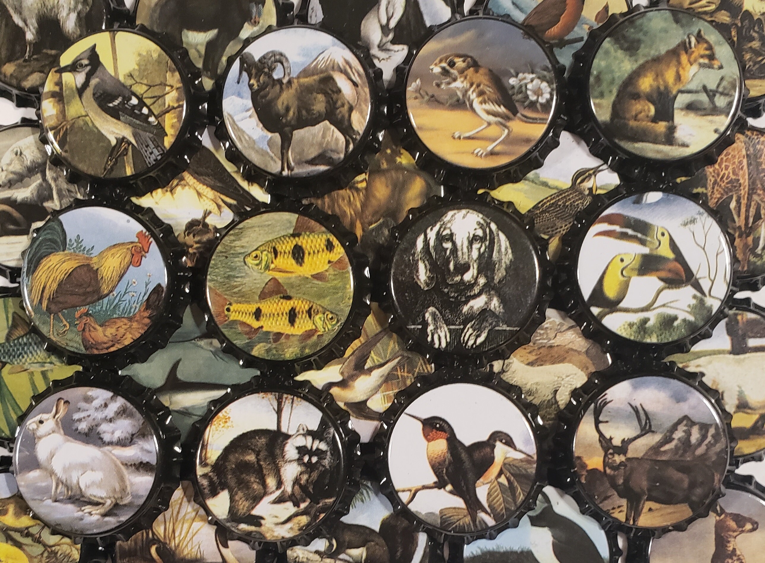 100 Animal Beer Bottle Caps Wildlife Decoration | Etsy