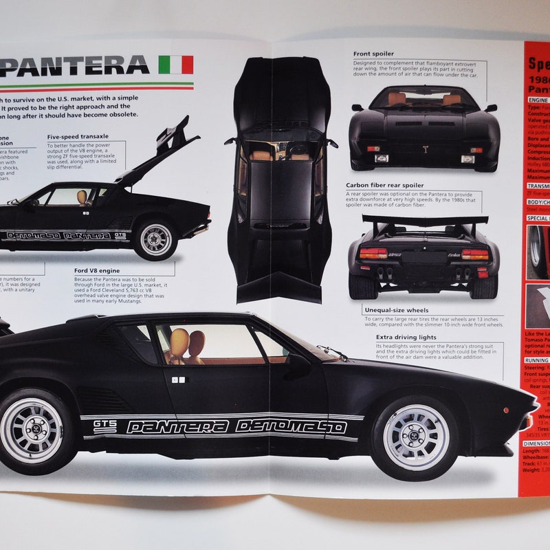 Pantera Poster - Etsy