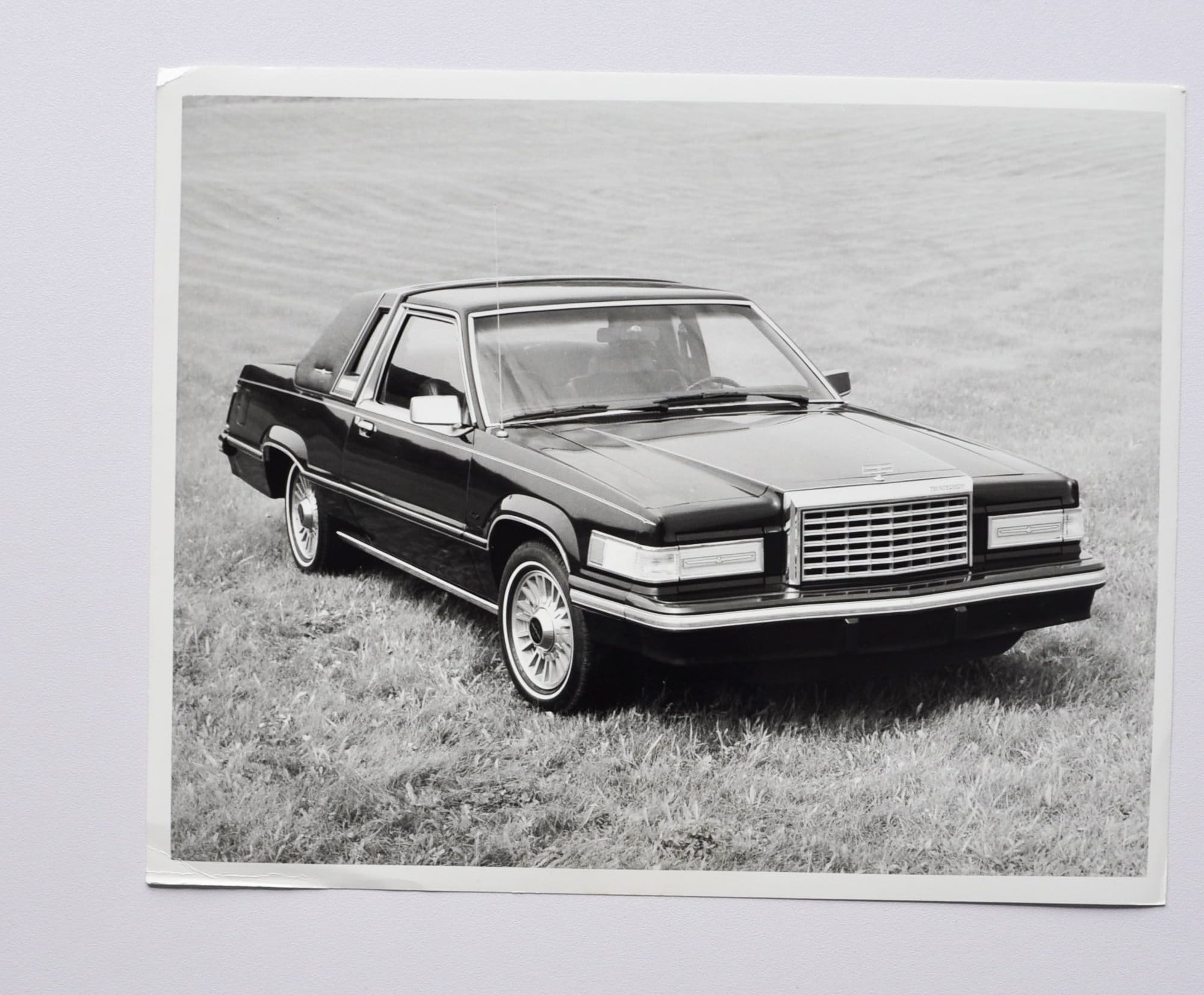 Thunderbird Auto 1980 1980 Ford Thunderbird