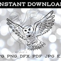 Hedwig - Etsy