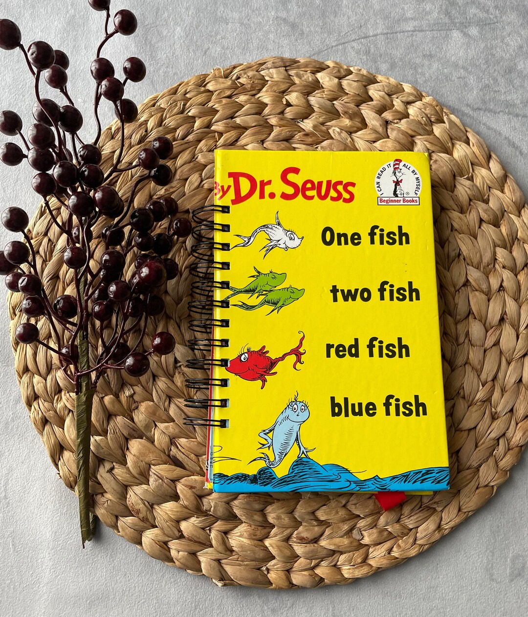 Dr Seuss's One Fish Two Fish Repurposed Book/ Vintage Recycled Children ...