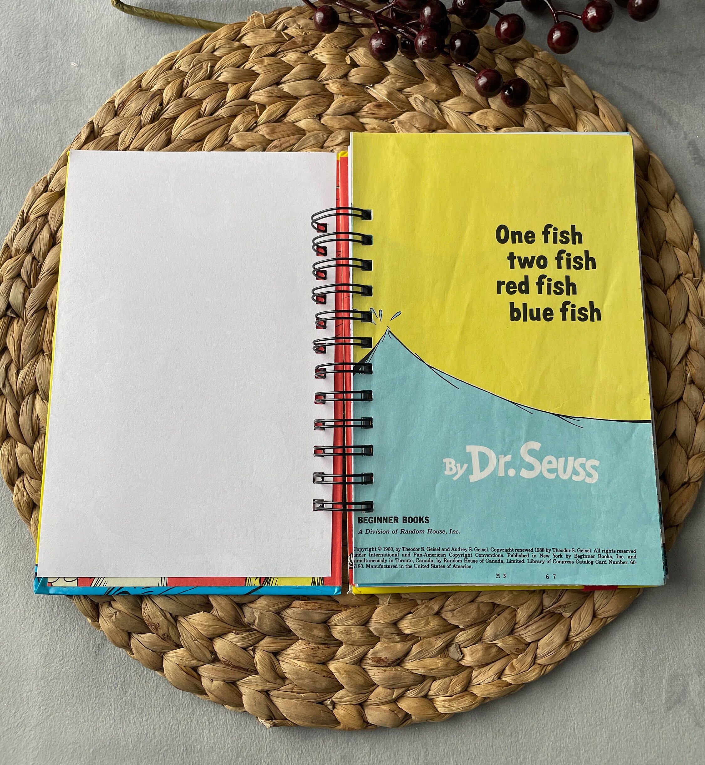 Dr Seuss's One Fish Two Fish Repurposed Book/ Vintage Recycled Children ...