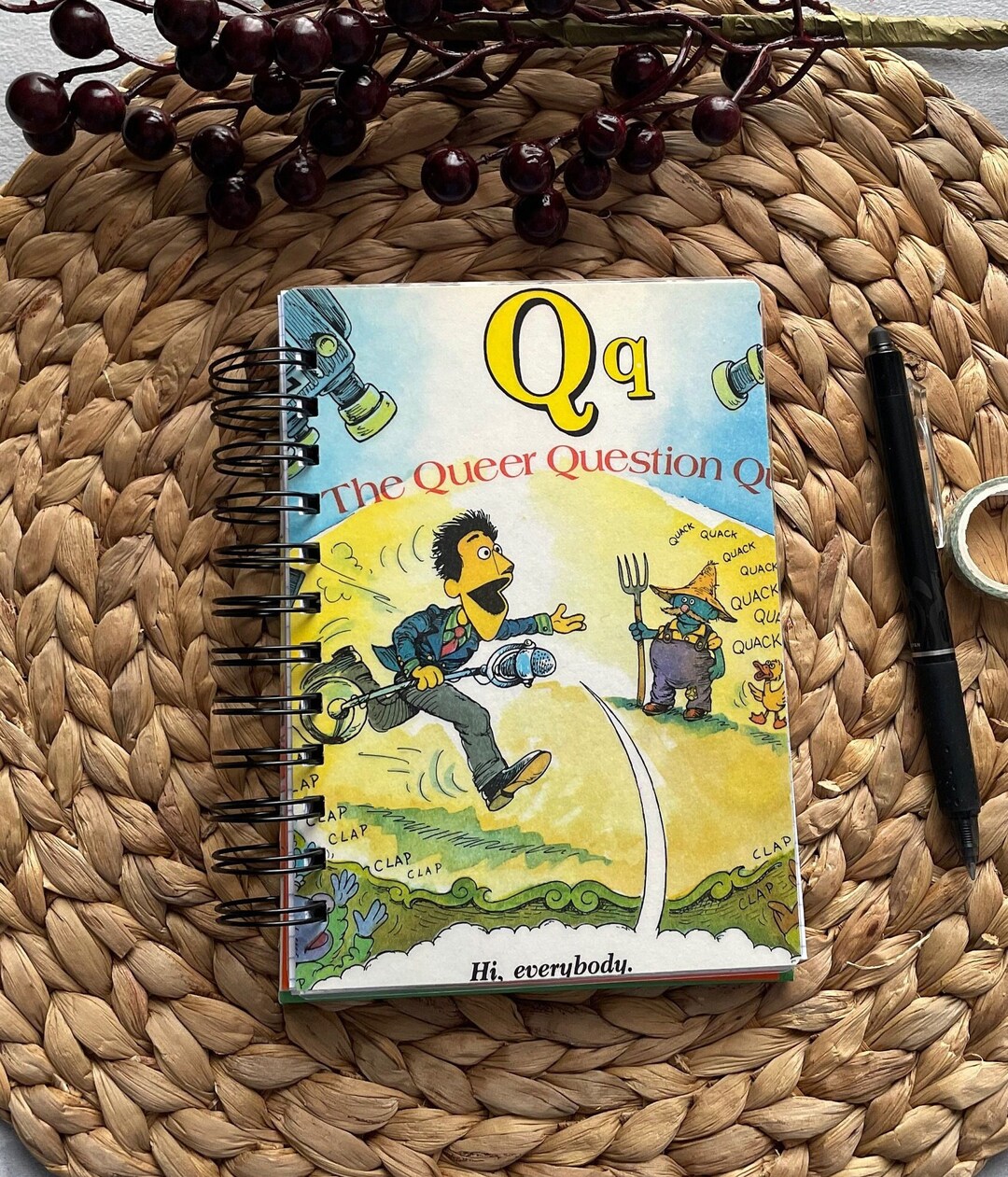 Announcer Quincy Repurpose Childrens Book, Recycled Kids Storybook ...