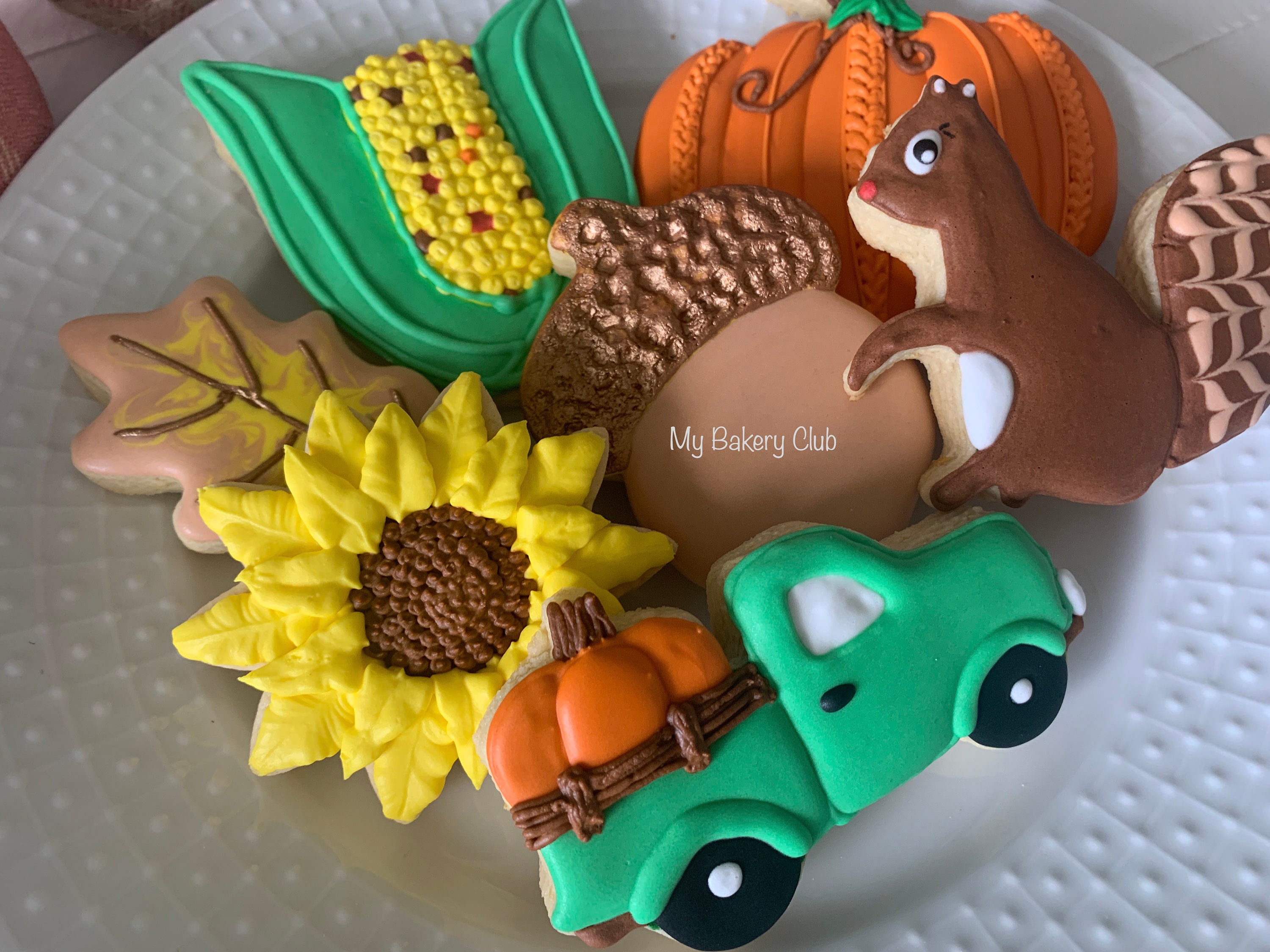 Fall/autumn Cookies | Etsy