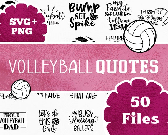 Volleyball Setter Quotes Sayings