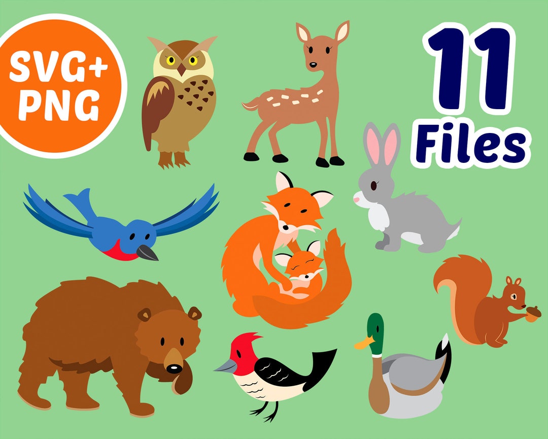 11 Cute Forest Woodland Animals SVG PNG Bundle Cricut & Silhouette ...