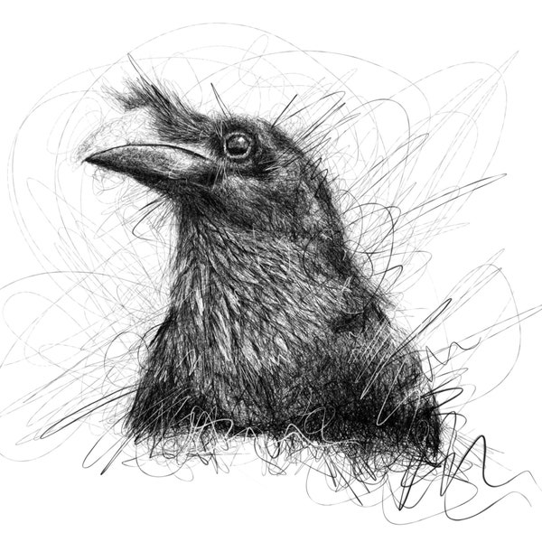 Raven Drawing - Etsy UK