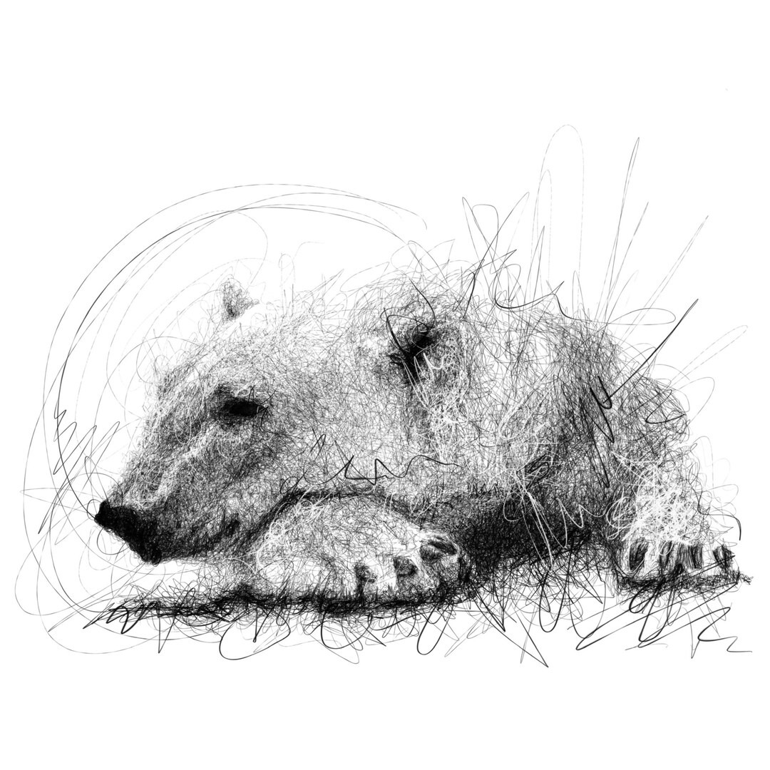 POLAR BEAR SCRIBBLE, Realistic Scribbled Ink Drawing, Wildlife Animal ...