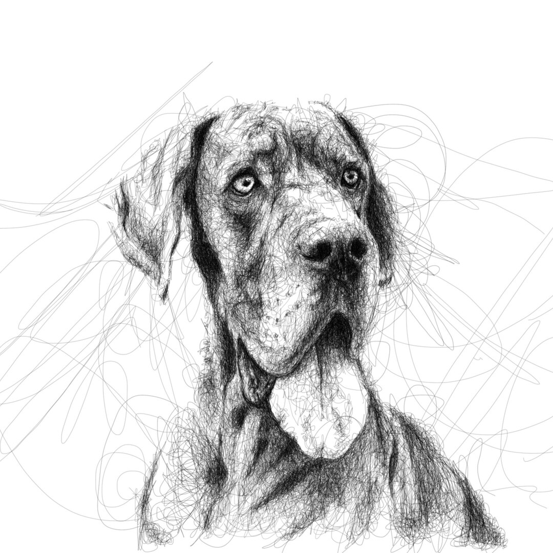 GREAT DANE SCRIBBLE, Realistic Scribbled Ink Drawing, Cornish Dog ...
