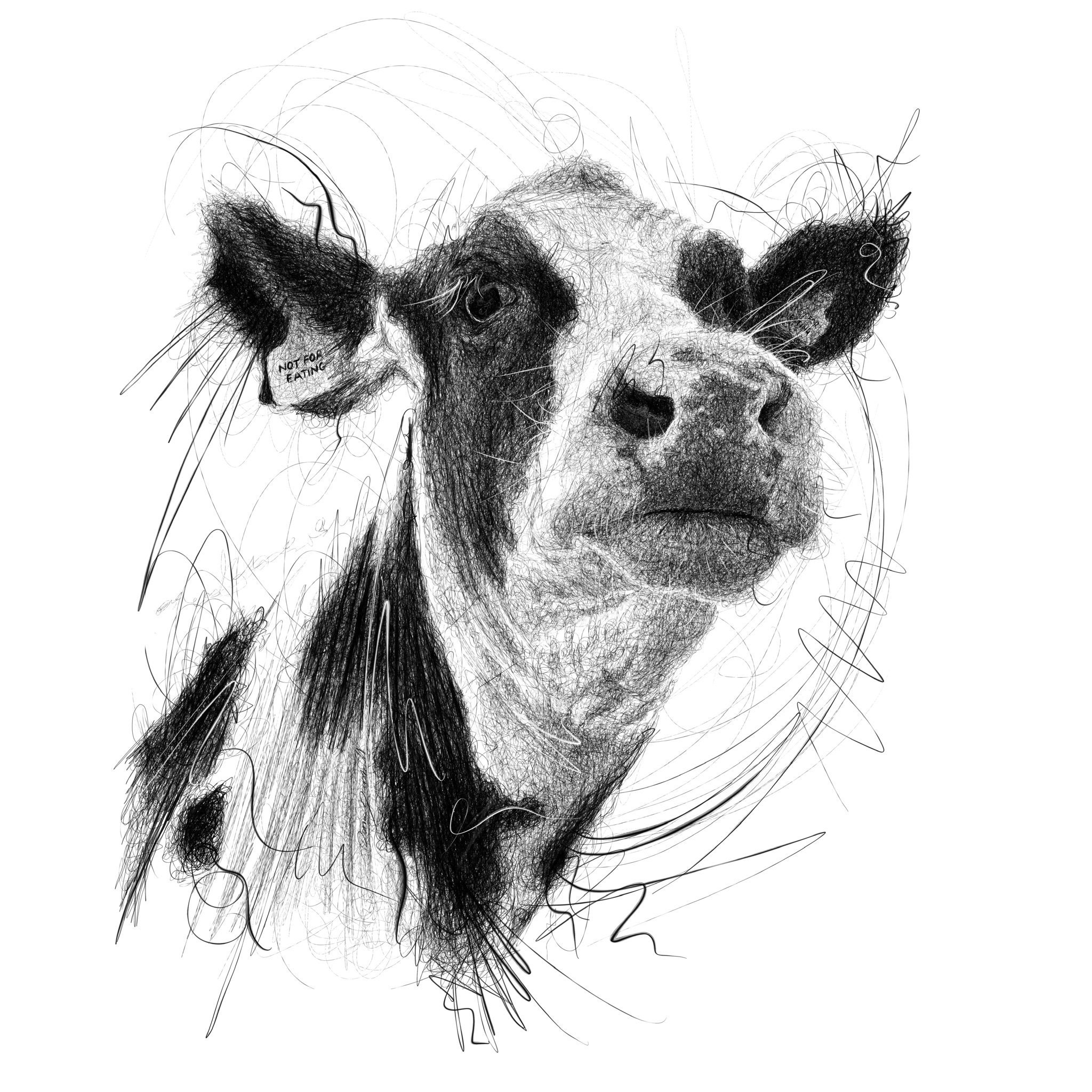 Realistic Cow Drawing