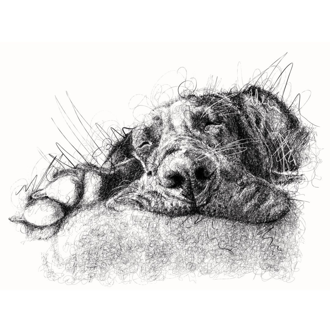 GREAT DANE SCRIBBLE, Realistic Scribbled Ink Drawing, Cornish Dog ...