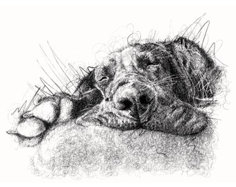 BRITISH HARE SCRIBBLE, Realistic Scribbled Ink Drawing, Wildlife Animal ...