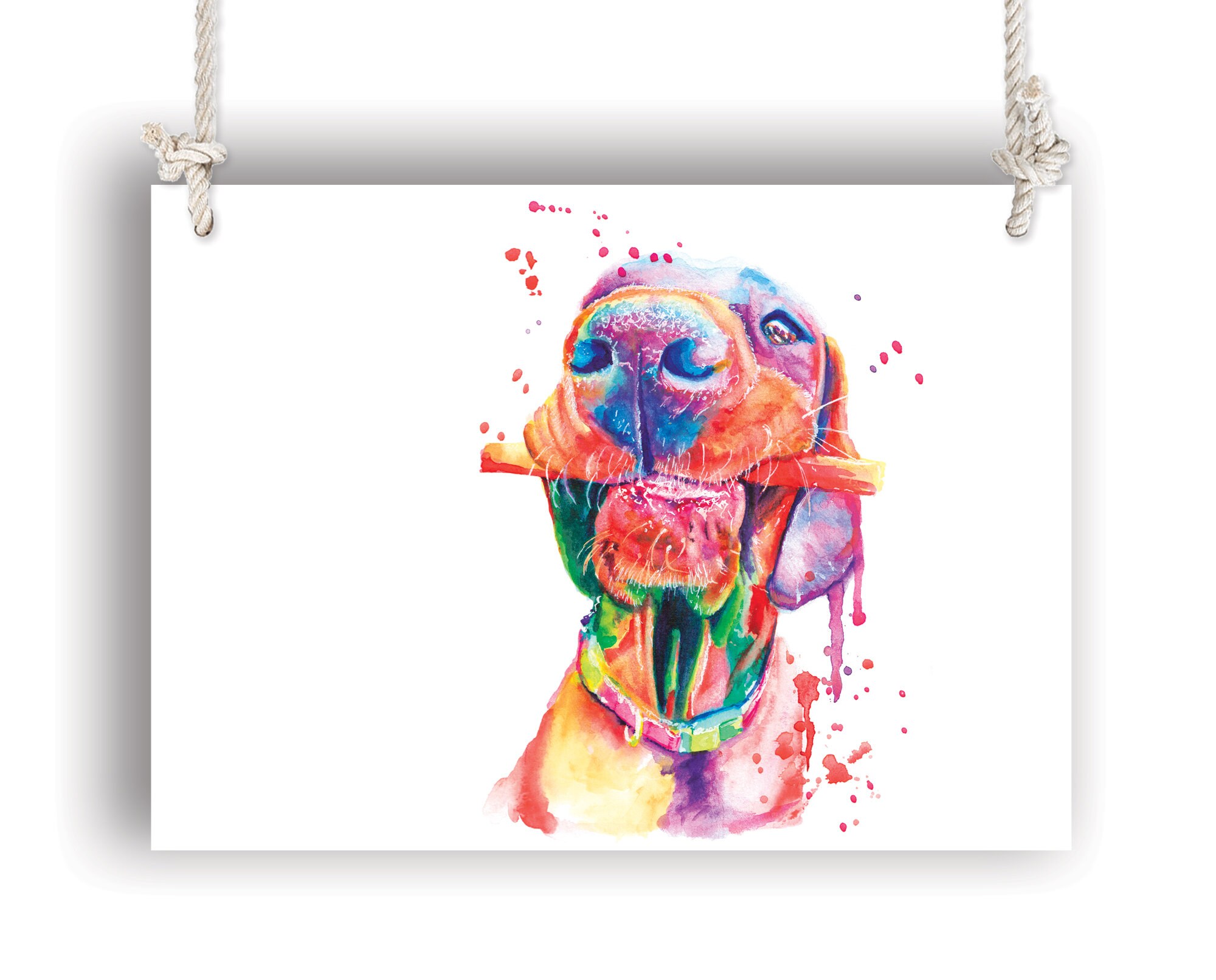 GREAT DANE Watercolour, Cornish Dog Animal Art Print From Cornwall by ...