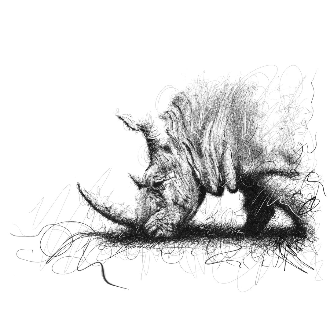 WILDLIFE RHINO SCRIBBLE, Realistic Scribbled Ink Drawing, Wildlife ...
