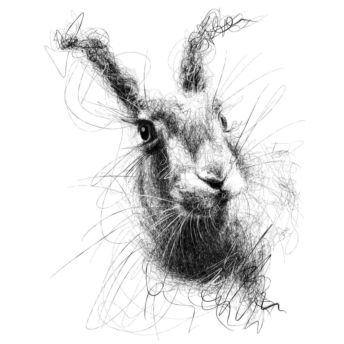 BRITISH HARE SCRIBBLE, Realistic Scribbled Ink Drawing, Wildlife Animal ...