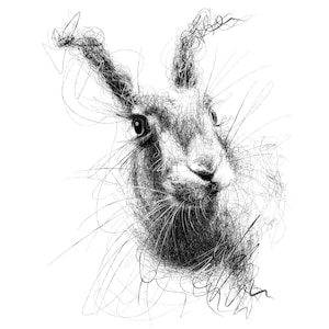BRITISH HARE SCRIBBLE, Realistic Scribbled Ink Drawing, Wildlife Animal ...