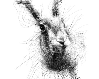 BLACK RAVEN SCRIBBLE, Realistic Scribbled Ink Drawing, Wildlife Bird ...