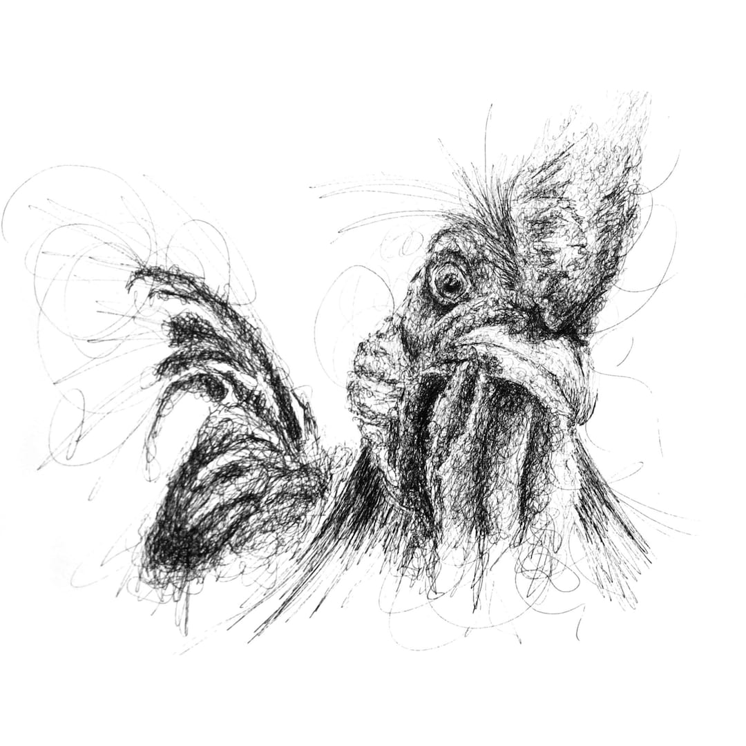 FARM CHICKEN SCRIBBLE, Realistic Scribbled Ink Drawing, Farmlife Bird ...