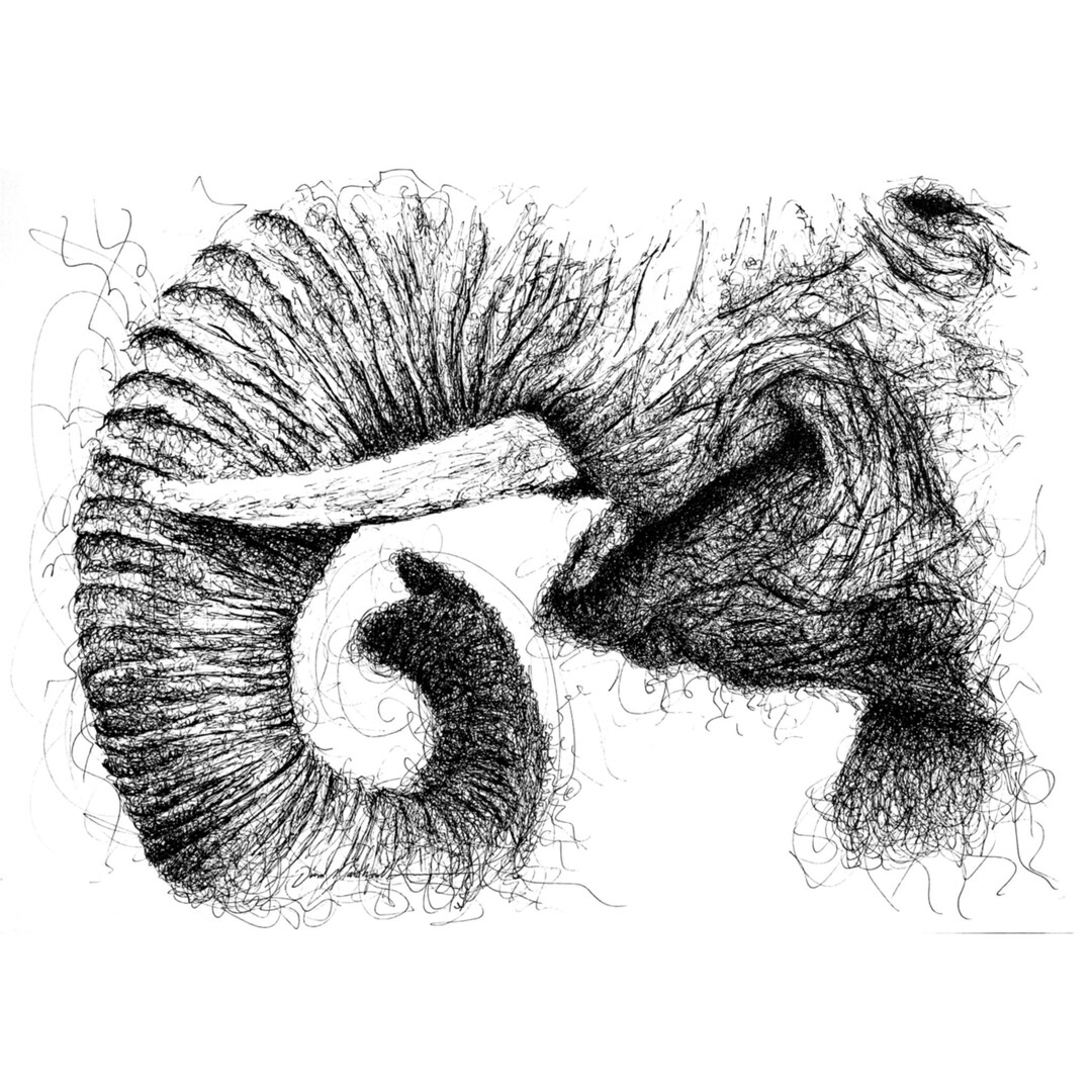 WILDLIFE ELEPHANT SCRIBBLE, Realistic Scribbled Ink Drawing, Wildlife ...