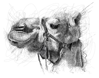 BLACK RAVEN SCRIBBLE, Realistic Scribbled Ink Drawing, Wildlife Bird ...