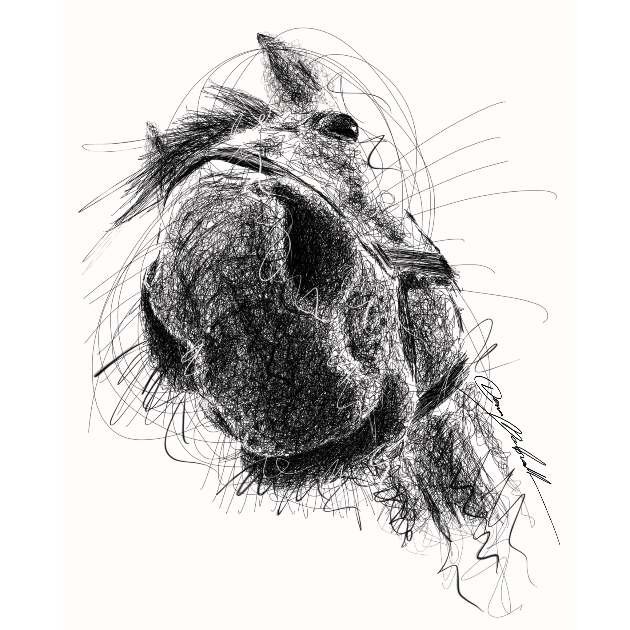 PET HORSE SCRIBBLE, Realistic Scribbled Ink Drawing, Equestrian Animal ...