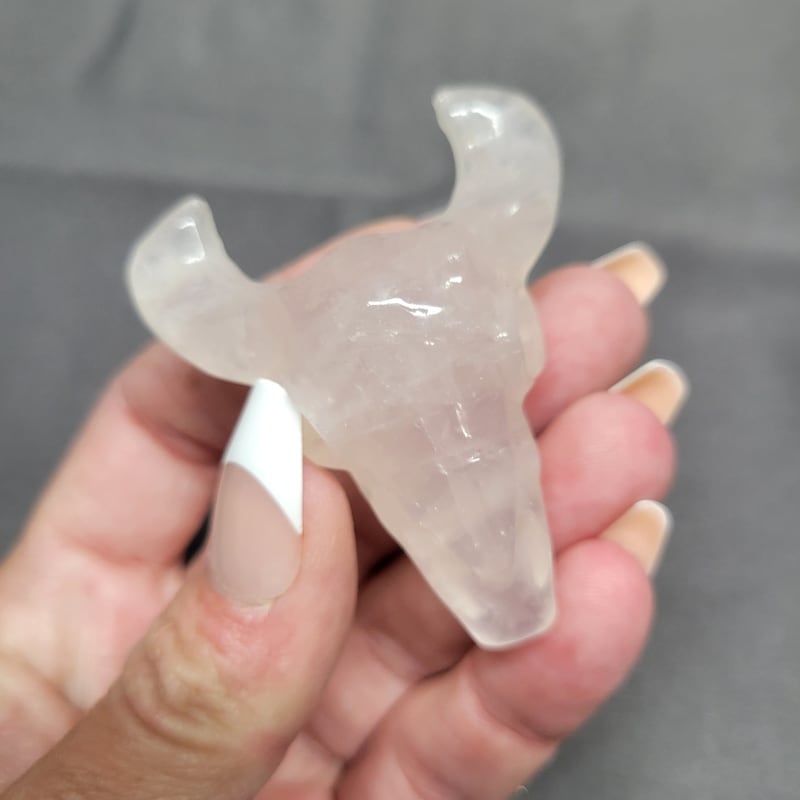 Crystal Cow Skulls - Etsy