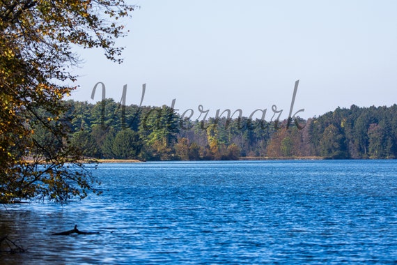 Morning Lake View. digital Print - Etsy