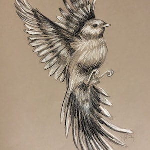 How To Draw A Realistic Bird Flying Step By Step