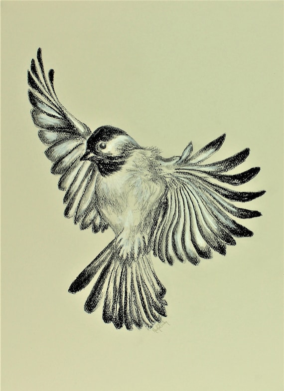 Flutter-Original Drawing in Charcoal on Pastel Paper Bird in | Etsy