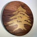 Lebanese Cedar - Etsy