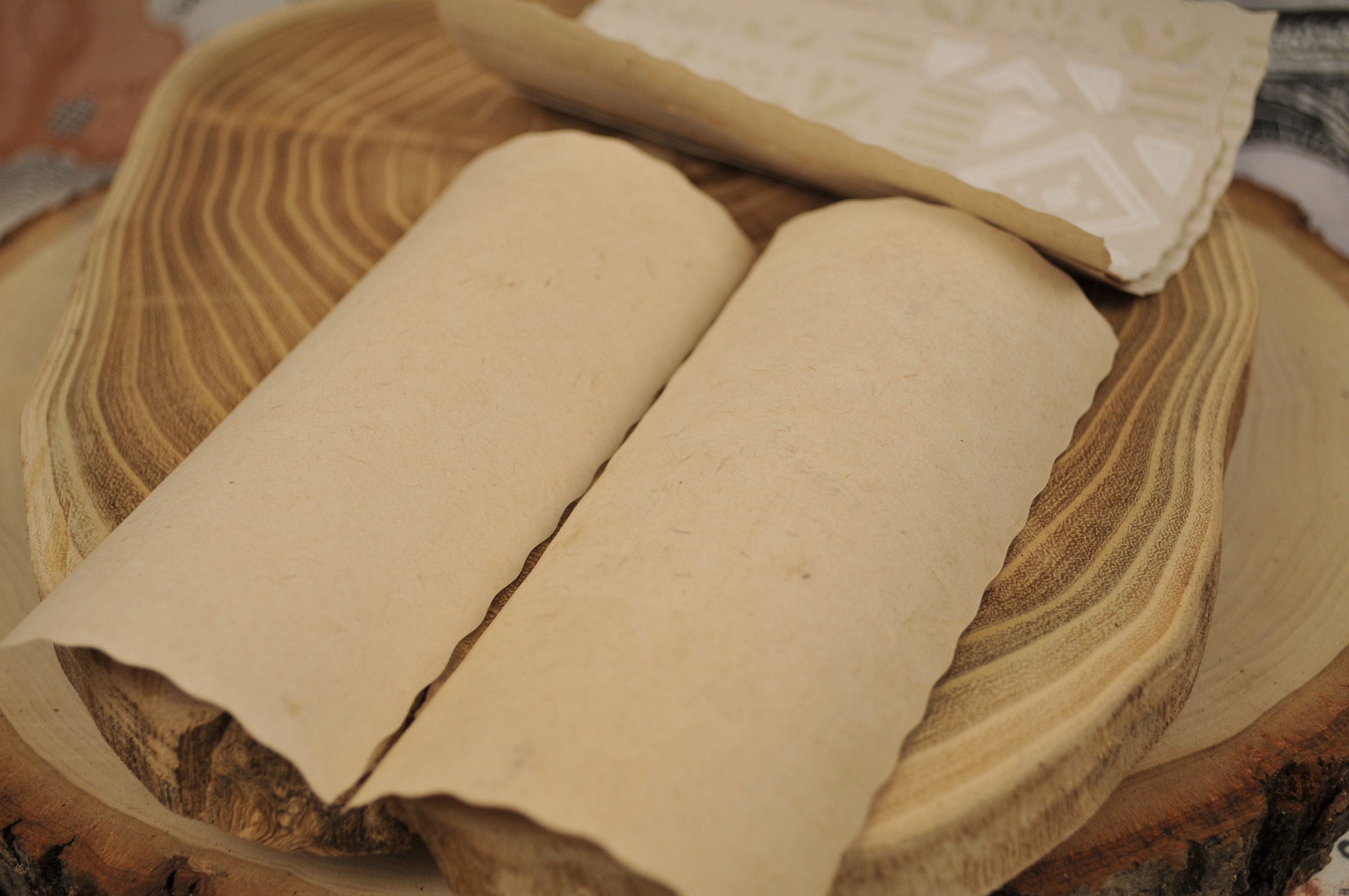 Vintage Paper Scrolls Paper Scrolls With Burnt Ends Paper Scrolls Tied ...