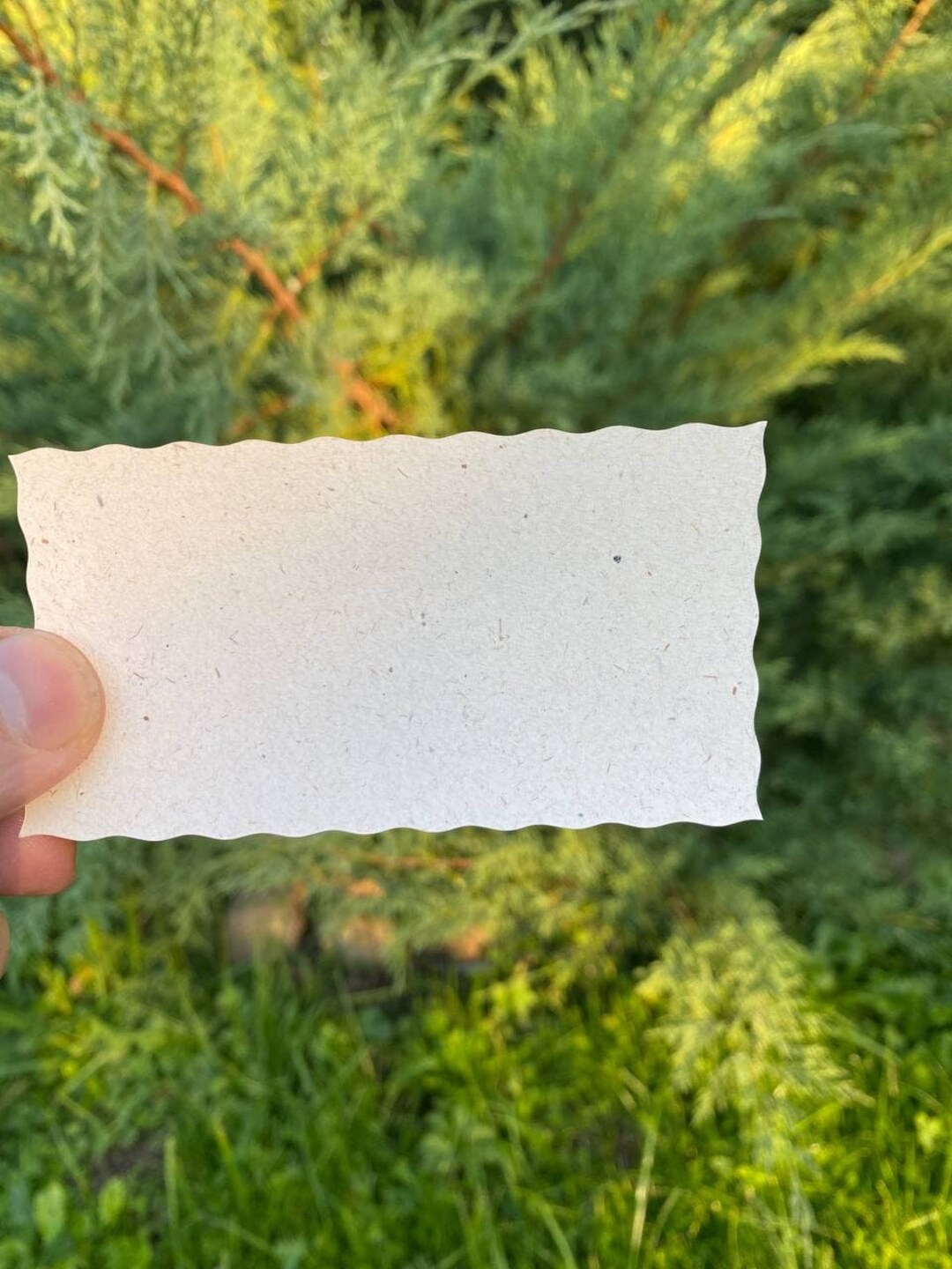 Elegant Pieces of Paper With Wavy Edges for Messages or Invitations to ...