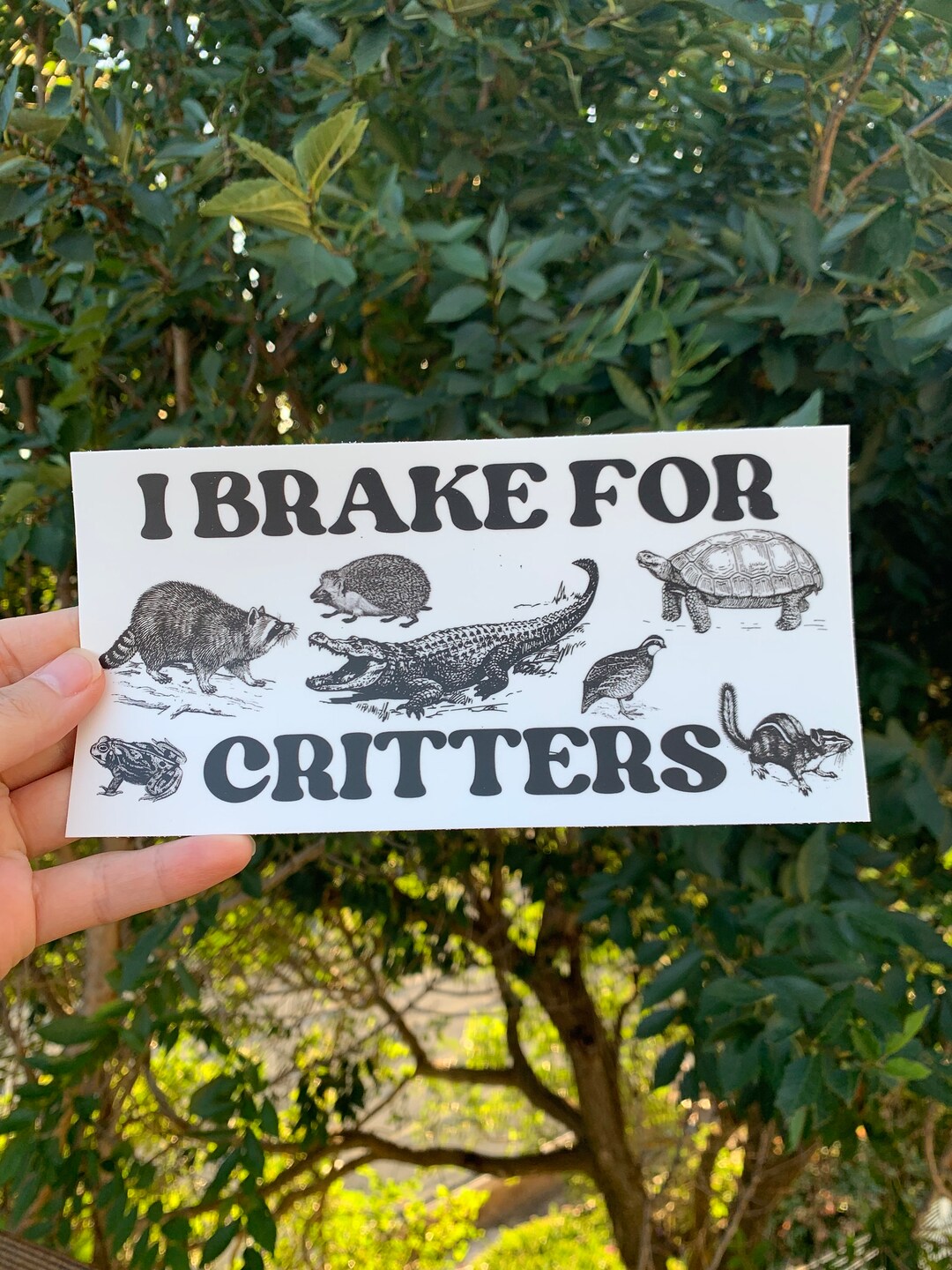 I Brake for Critters, Bumper Sticker, Funny Sticker, Gen Z - Etsy