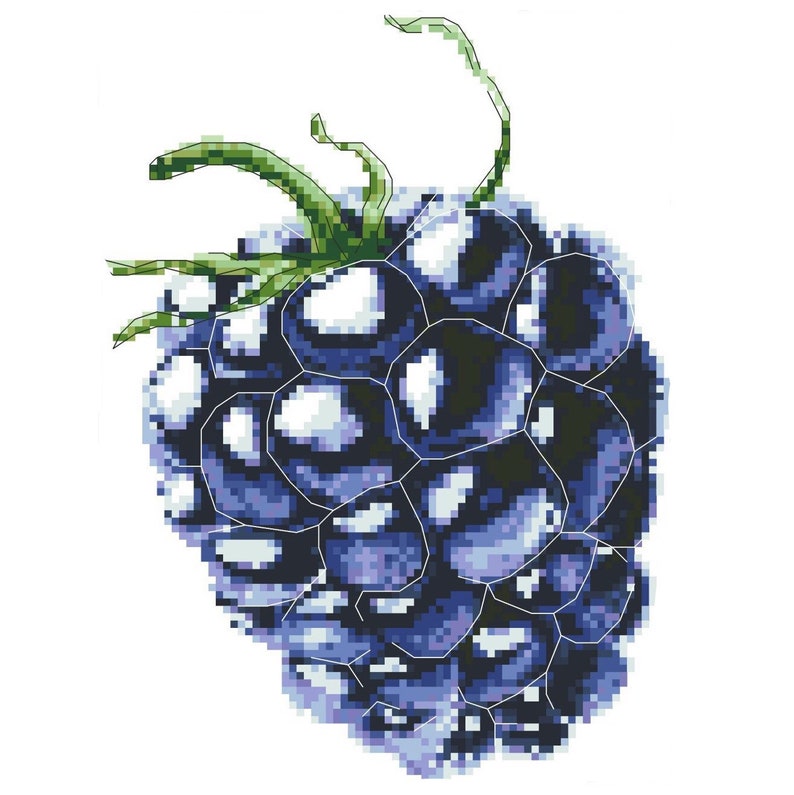 Cross-stitch Pattern of Blackberry. PDF File - Etsy