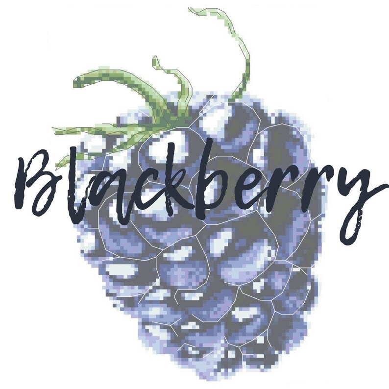 Cross-stitch Pattern of Blackberry. PDF File - Etsy