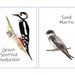 LARGE OUTDOOR Nature Memory Card Game, Birds, Children Game, Printable ...