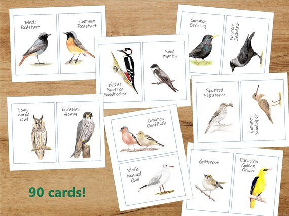 LARGE OUTDOOR Nature Memory Card Game Birds Children Game | Etsy