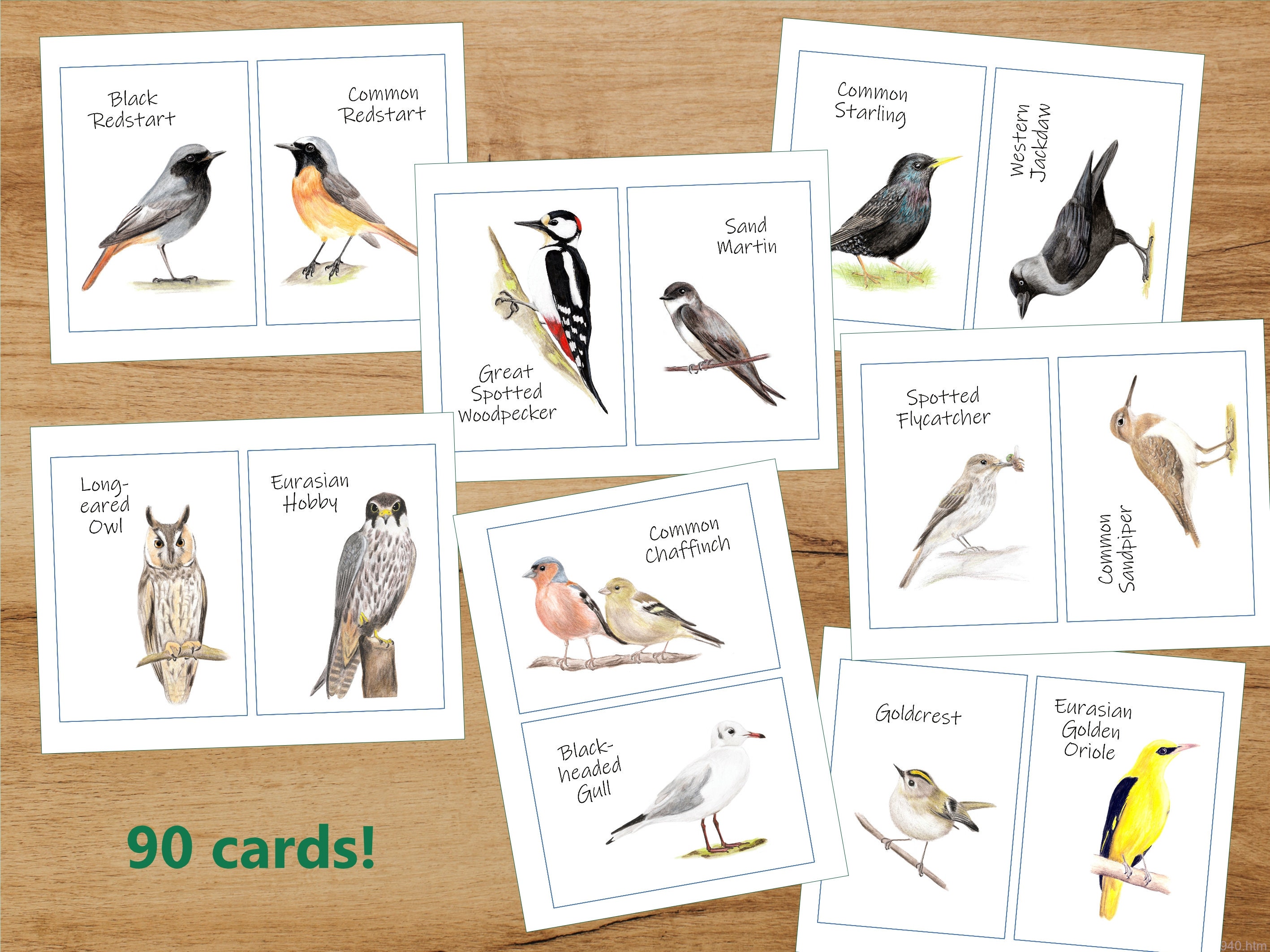 LARGE OUTDOOR Nature Memory Card Game, Birds, Children Game, Printable ...