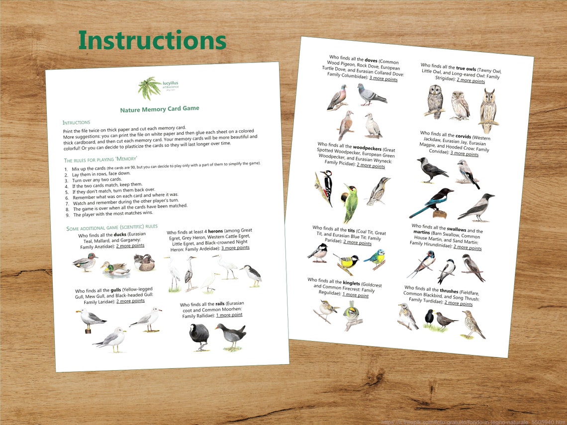 LARGE OUTDOOR Nature Memory Card Game, Birds, Children Game, Printable ...
