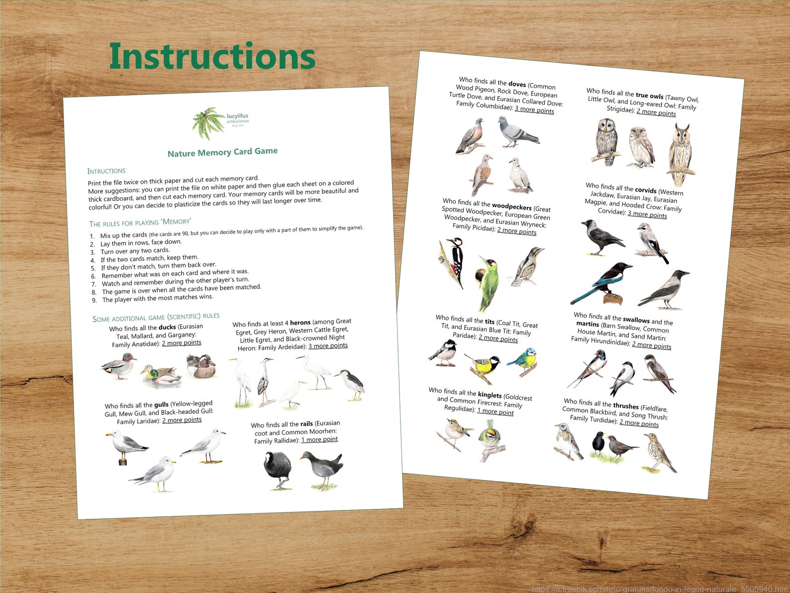 LARGE OUTDOOR Nature Memory Card Game, Birds, Children Game, Printable ...