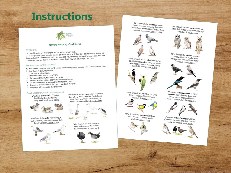 LARGE OUTDOOR Nature Memory Card Game, Birds, Children Game, Printable ...