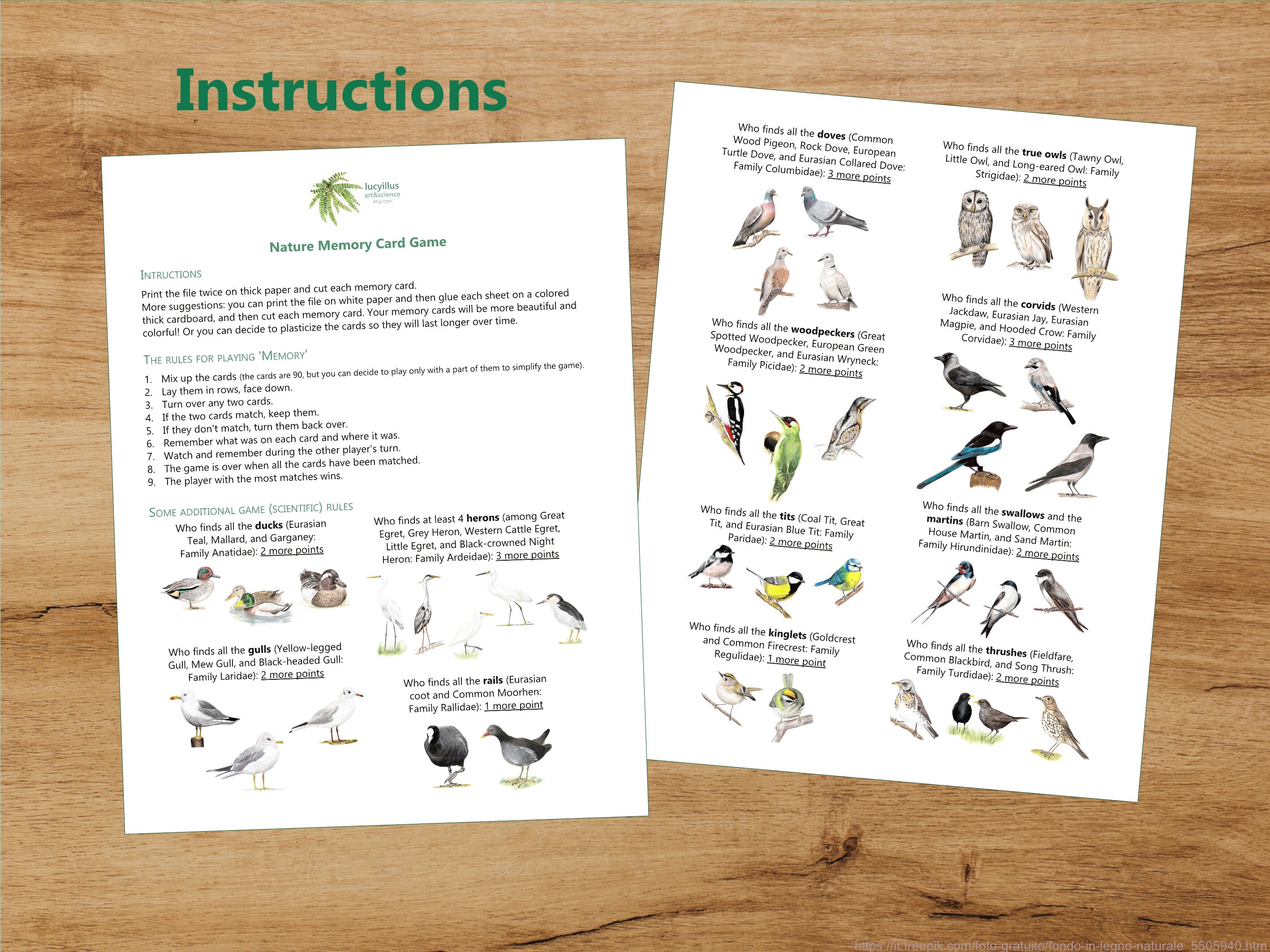 LARGE OUTDOOR Nature Memory Card Game, Birds, Children Game, Printable ...