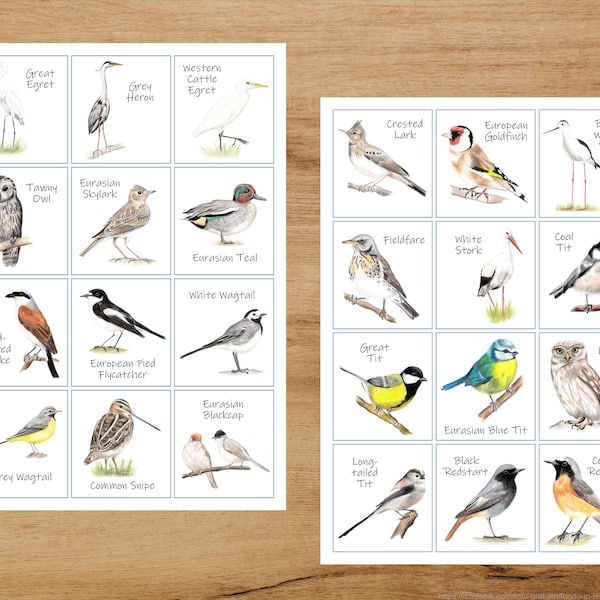 Memory Game Cards - Etsy