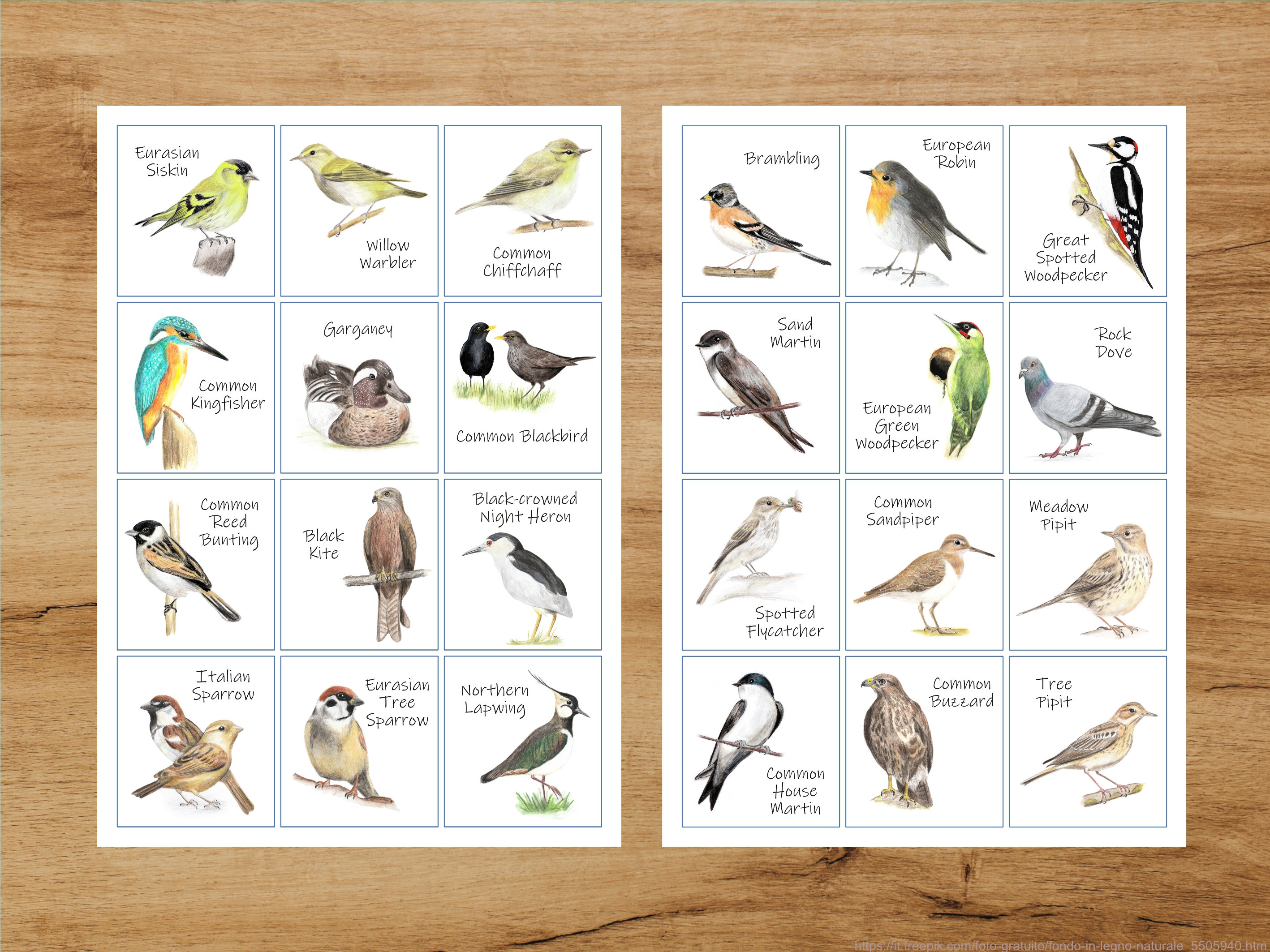 Nature Memory Card Game, Birds, Home Made Children Game, Printable Game ...