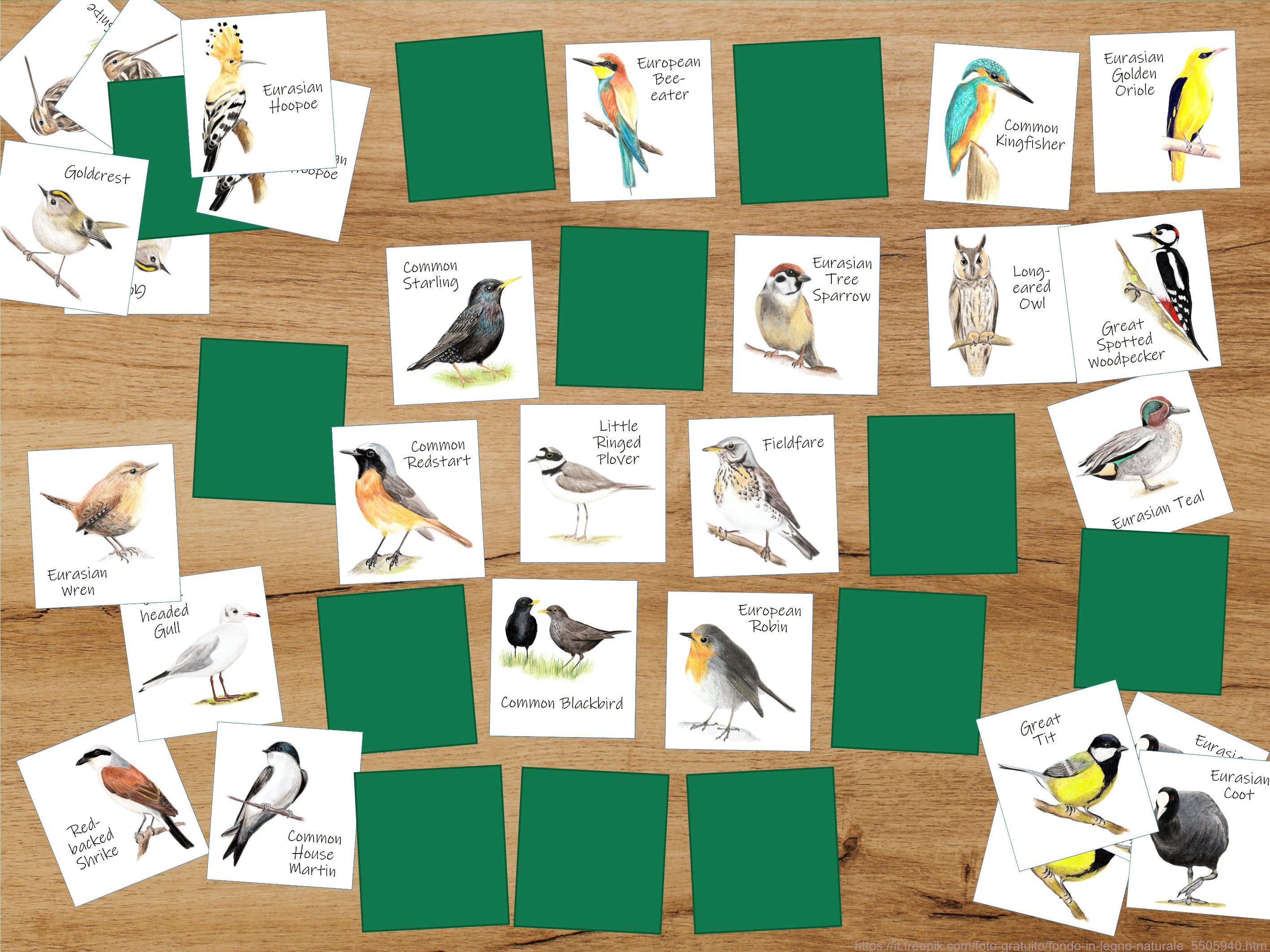 Nature Memory Card Game, Birds, Home Made Children Game, Printable Game ...