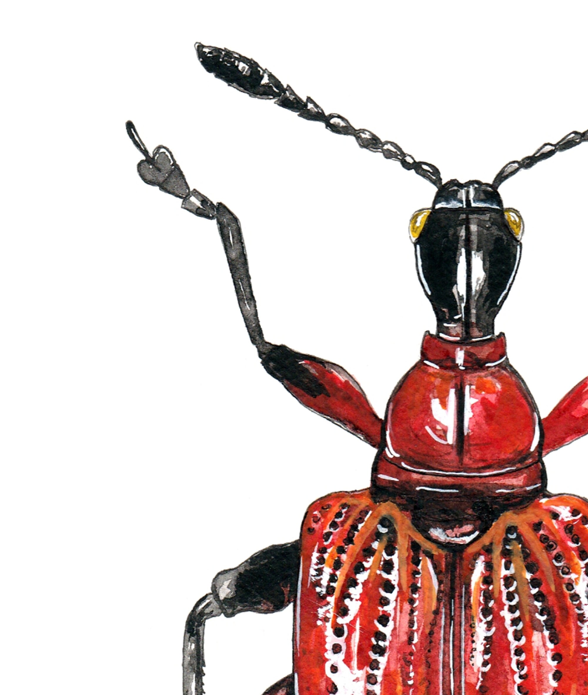 Insect Poster, Insect Print, Watercolour Illustration, Printable Art ...