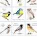 Nature Memory Card Game, Birds, Home Made Children Game, Printable Game ...
