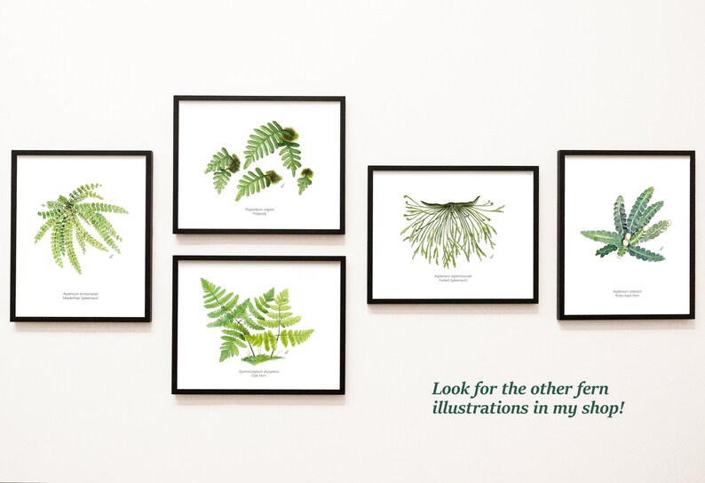 Fern Poster, Wall Art, Fern Print, Plant Printable Art, Digital A3 ...