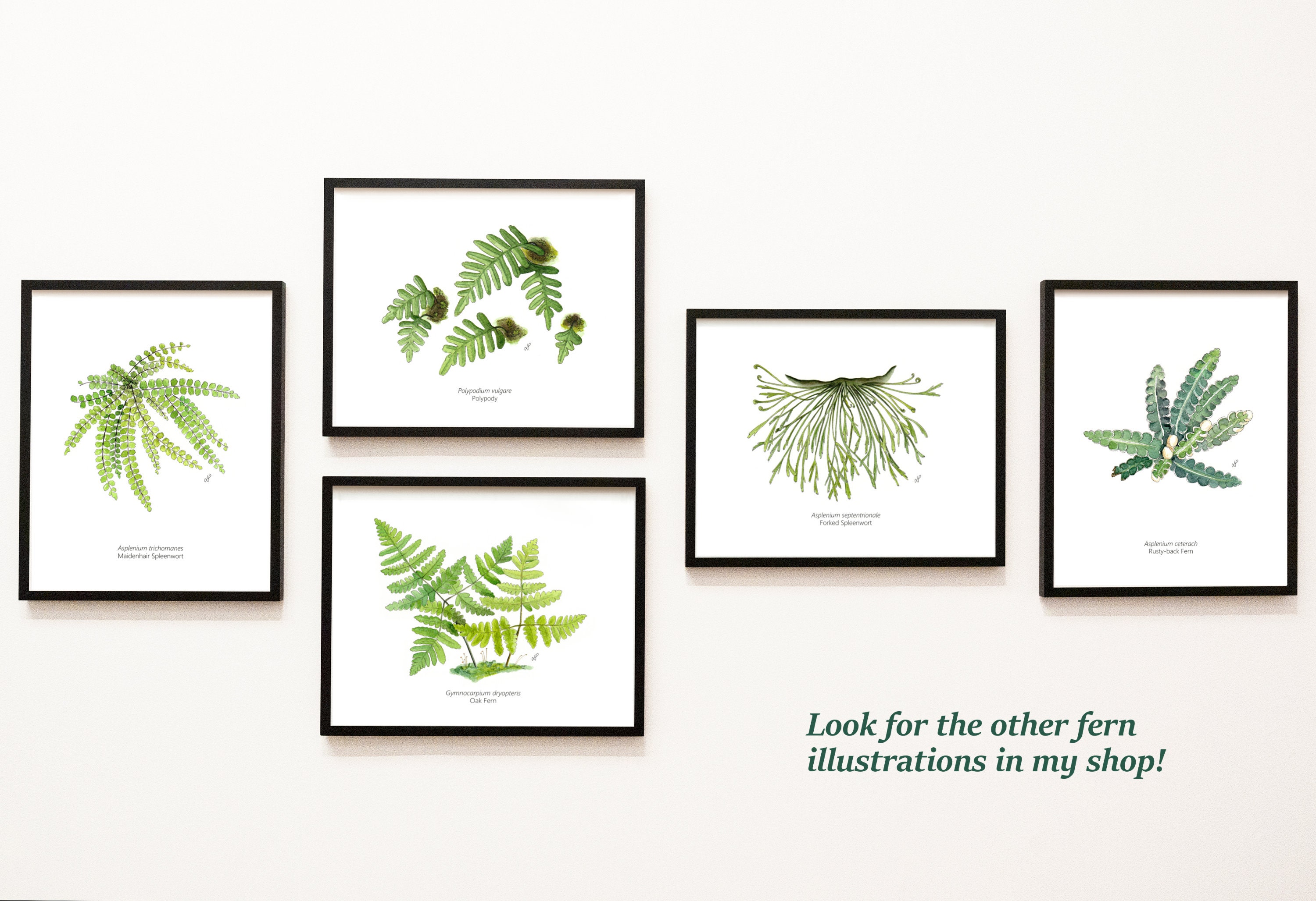 Fern Poster, Wall Art, Fern Print, Plant Printable Art, Digital A3 ...