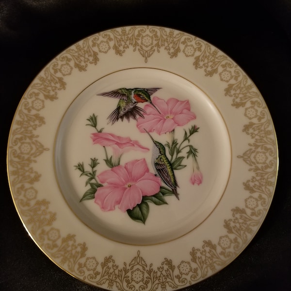 Hummingbird Collector Plates - Etsy